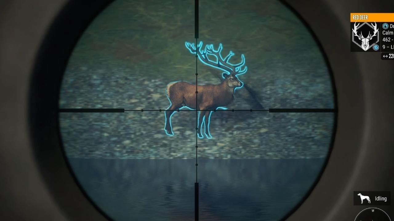 9 - Legendary Red Deer Troll? theHunter: Call of the Wild #cotw # ...