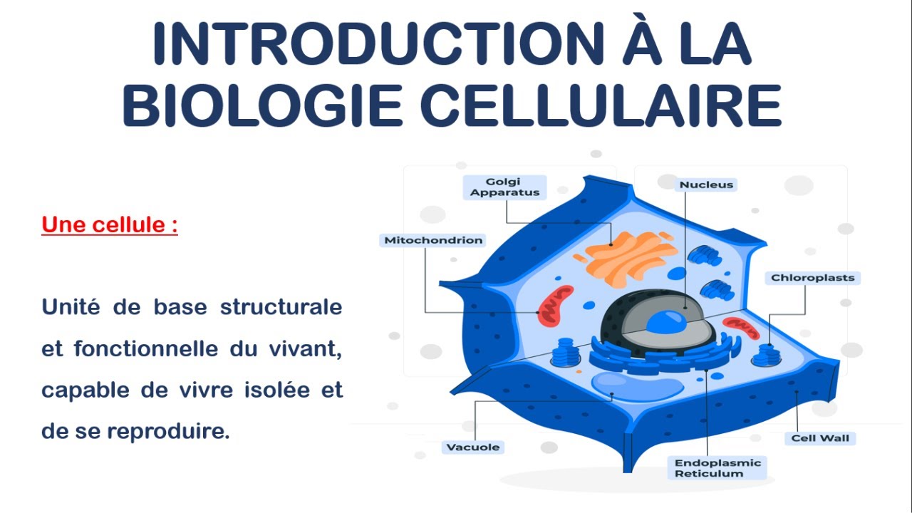 Introduction à la Biologie Cellulaire (Partie 1) - YouTube