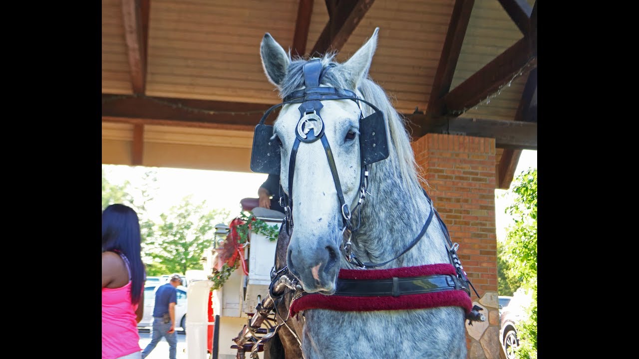 Madison Academy High School Prom 2018 - YouTube