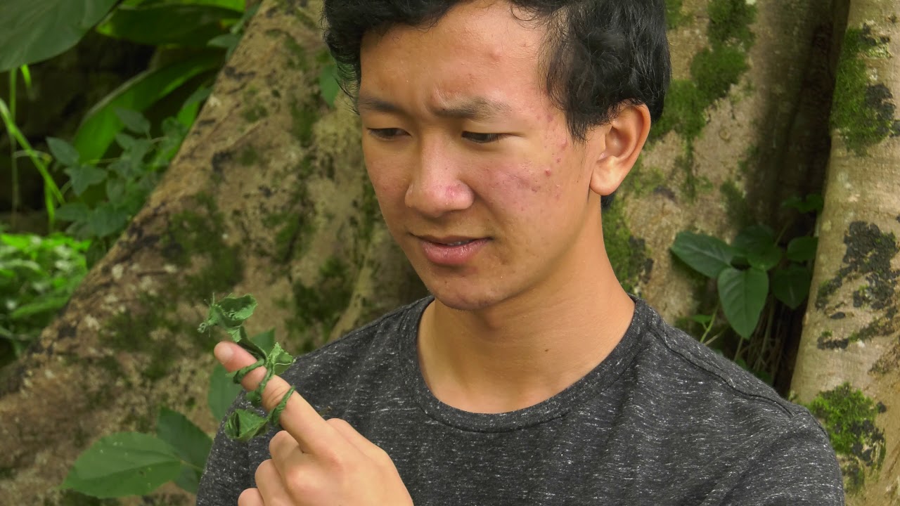 The Time Vine Trailer - YouTube