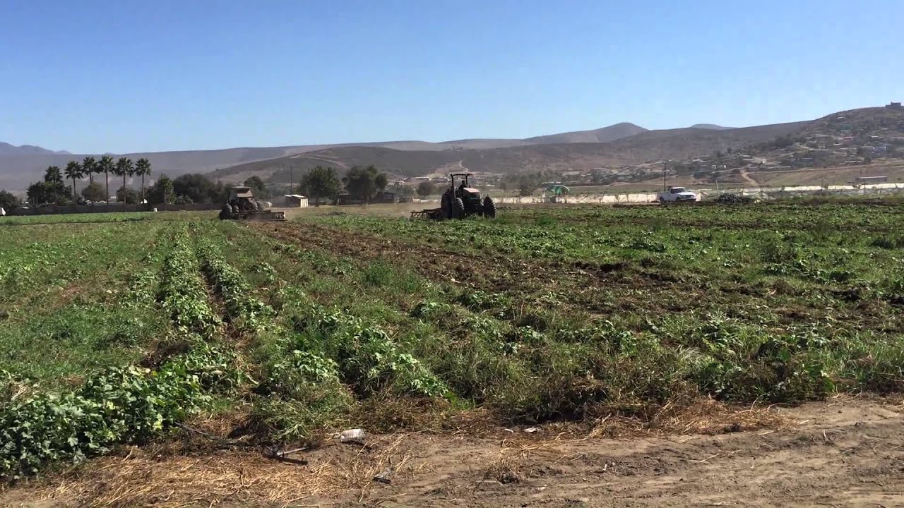 emka farm mexico 2-2 - YouTube