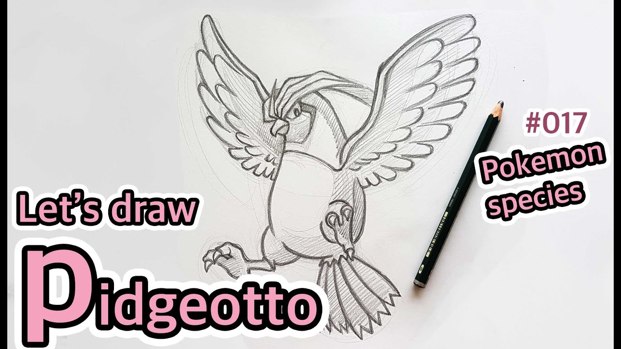 Draw Pidgeotto/Pokemon #017/How to Draw/drawing Tutorial/피죤그리기/띠부띠부씰 ...
