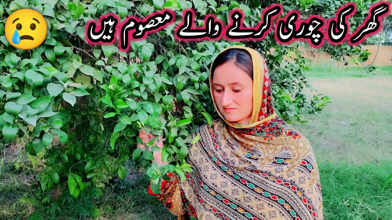 Mere Ghar 🏠 Ki Chori Karne Wale Masoom Hain😢| Today My New Vlog ...