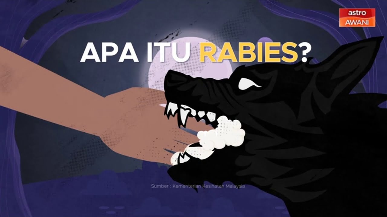 [INFOGRAFIK] Apa itu rabies? (22 Okt 2020) - YouTube