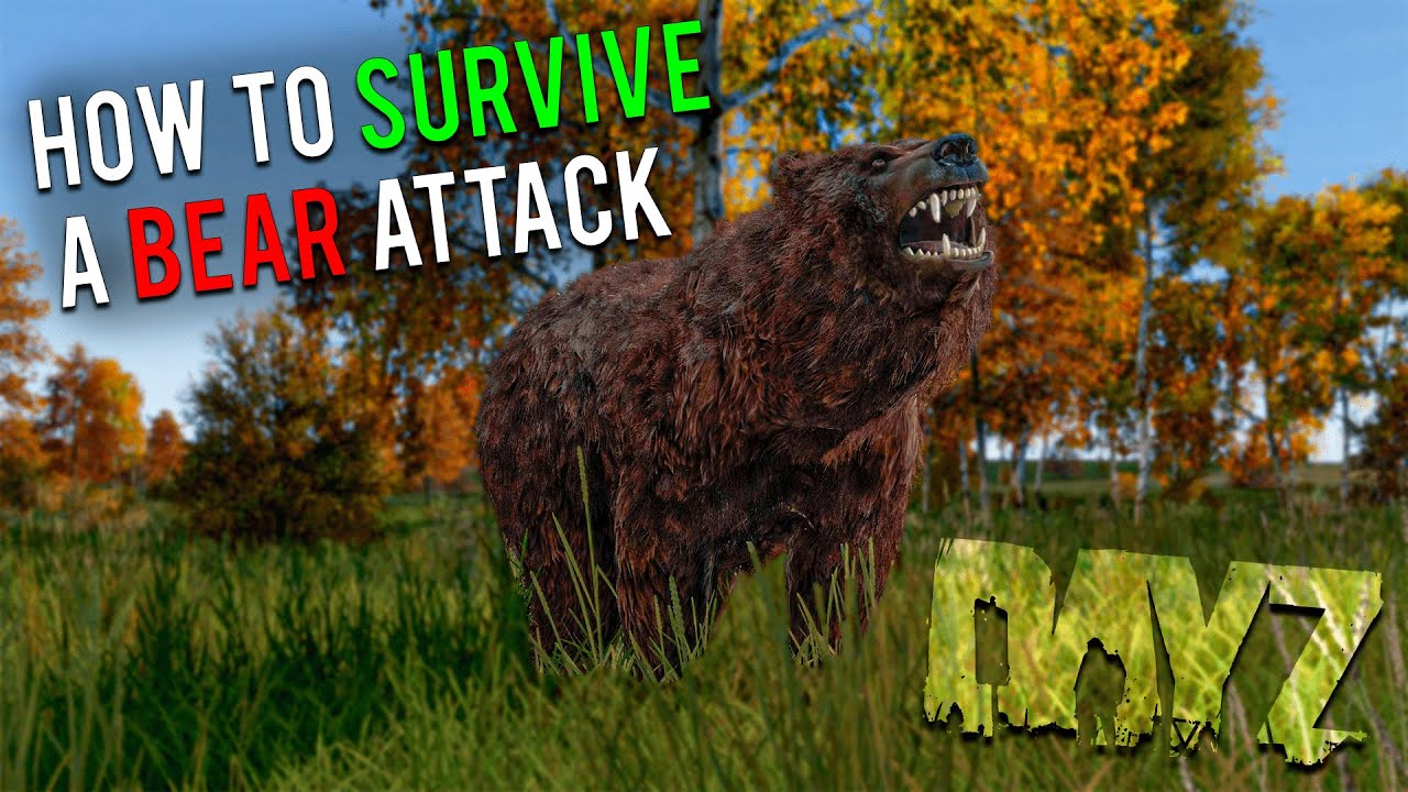 How To Survive A BEAR ATTACK In DayZ - YouTube
