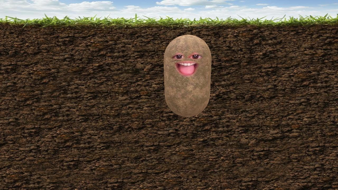 🔴LIVE! LATE POTATO CAM STREAM! WHOS AWAKE? - YouTube