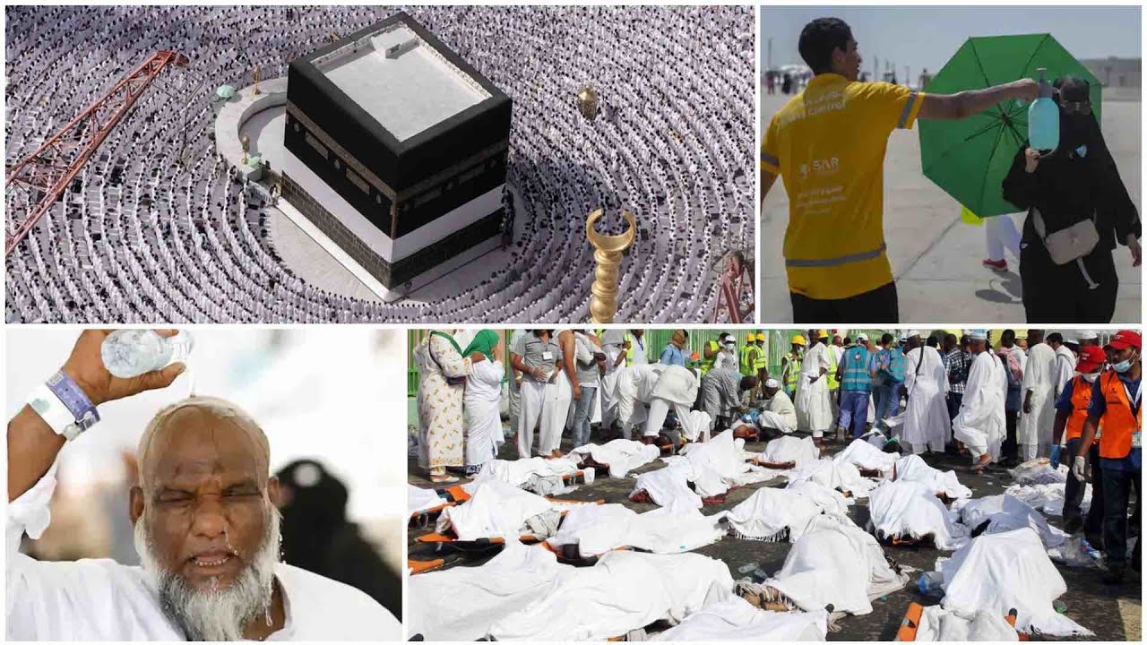 577 Hajj pilgrims die in Mecca due to heat: 323 of them highest from ...