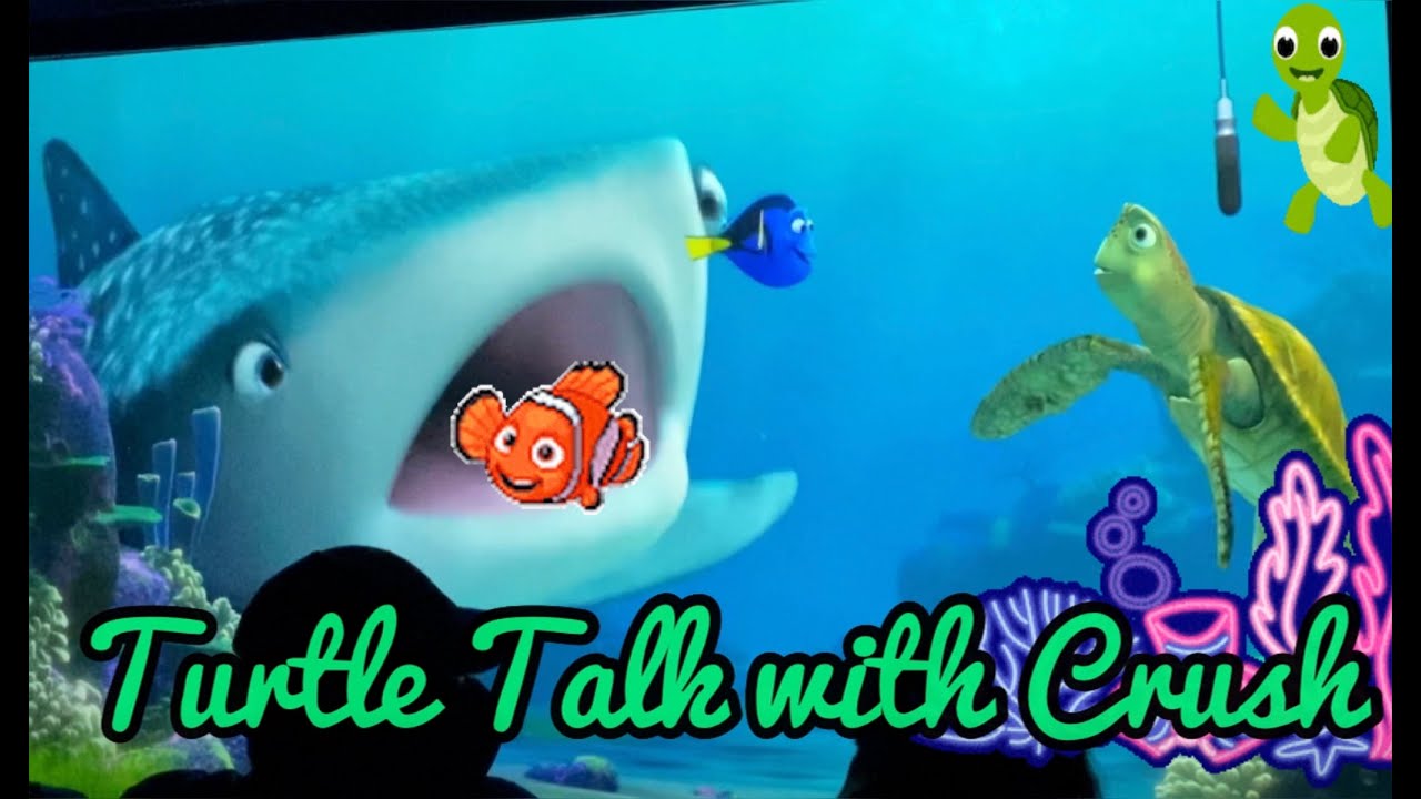 Turtle Talk with Crush | DCA interactive Show | Disneyland Resort - YouTube
