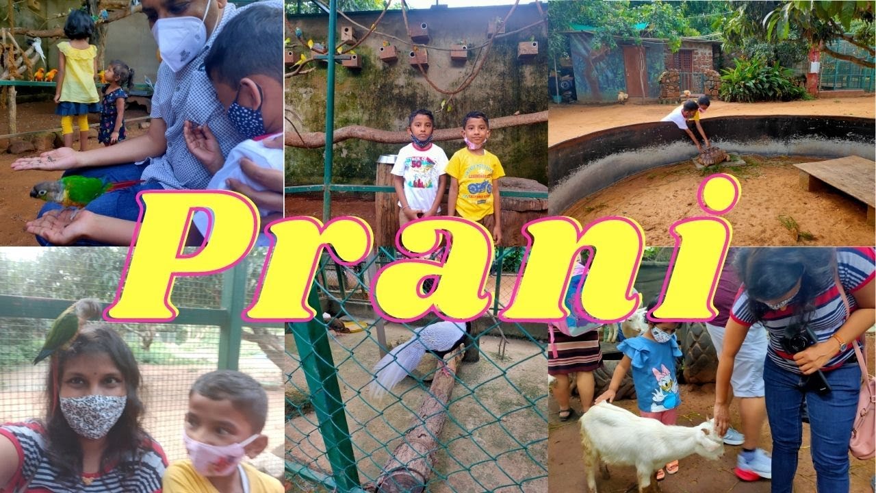 Prani Pet Sanctuary - PRANI VISIT || ಪ್ರಾಣಿ ಕನಕಪುರ ರಸ್ತೆ ಬೆಂಗಳೂರು|| A ...