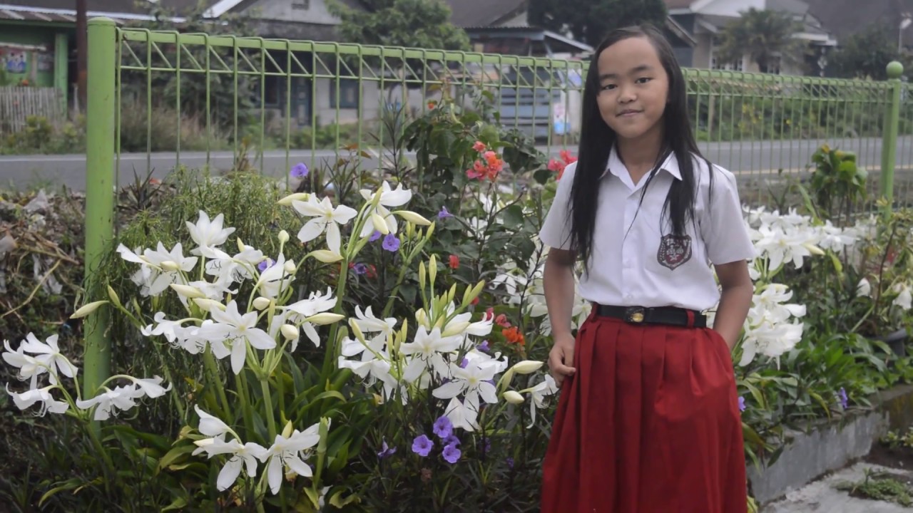 AMAZING !!!!!!!!!!! BUNGA BAKUNG BERBUNGA CANTIK - YouTube