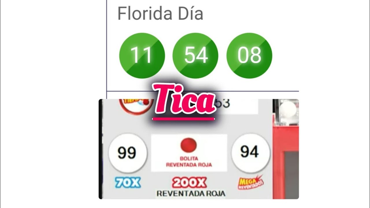 Bingo#99 TICA🔥 y Bingo#11 FLORIDA 🔥 - YouTube