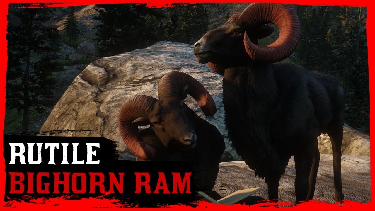 Red Dead Redemption 2 Online - Hunting for the Legendary Rutile Ram ...
