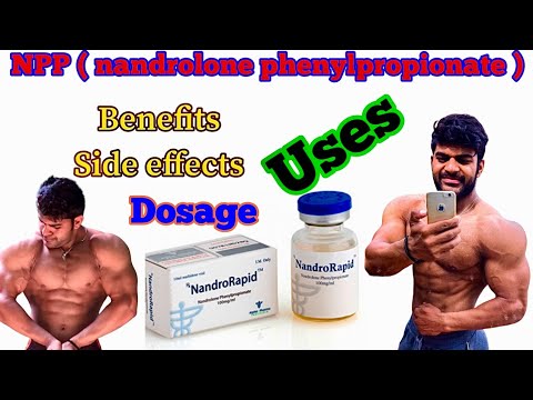 NPP ( Nandrolone Phenylpropionate) benefits, Side effects , uses full ...