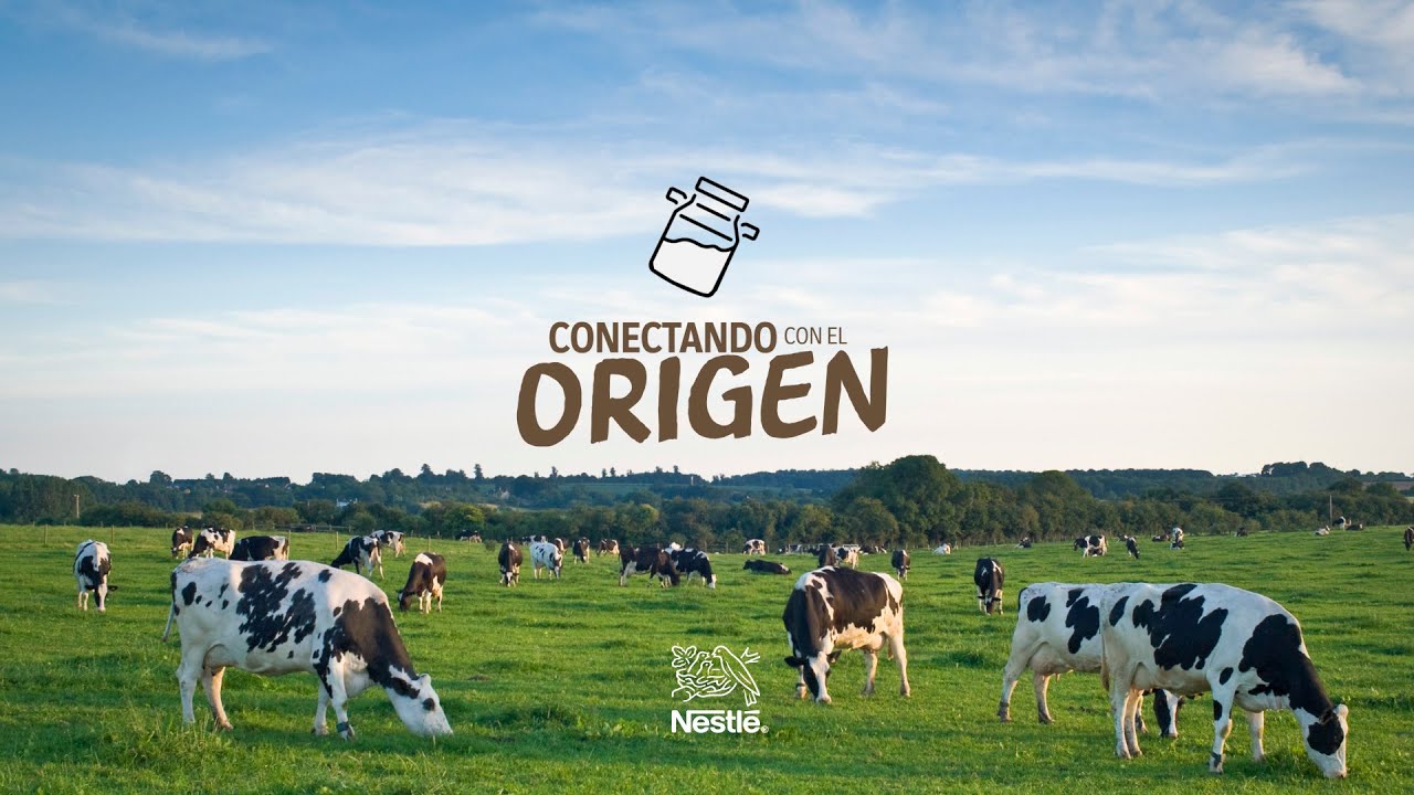 Origen de tus lácteos Nestlé favoritos 🥛🐄 - YouTube