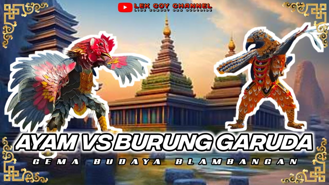 KEREEEN !!! AYAM JAGO VS BURUNG GARUDA TARUNG JARANAN GEMA BUDAYA ...