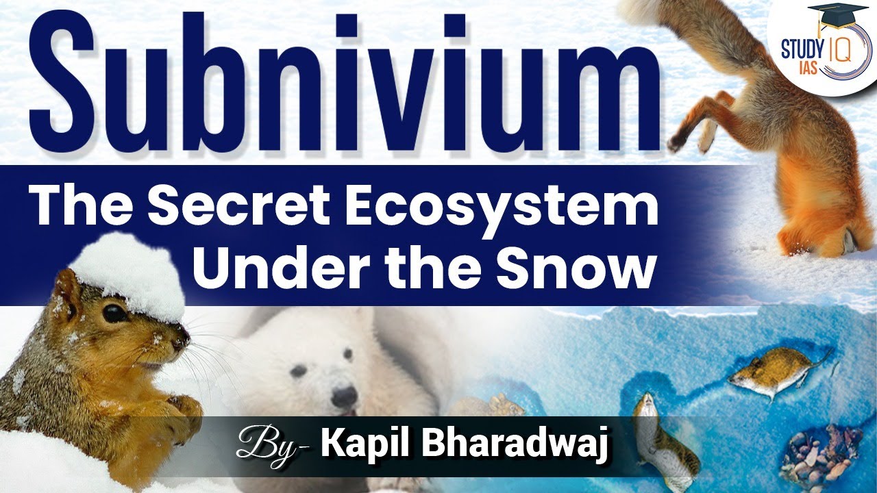 The ephemeral ecosystem of tunnels in the snow - Subnivium ...