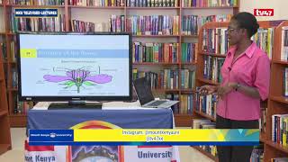 BBY 1214: PLANT STRUCTURE AND FUNCTION LESSON 2