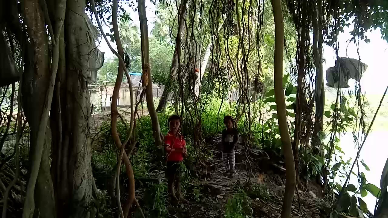 Three years kids playing in Banyan tree | aalamaram vizhudhu oonjal ...
