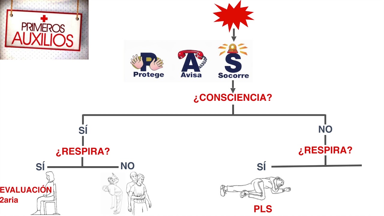 INTRODUCCION PPAA - YouTube