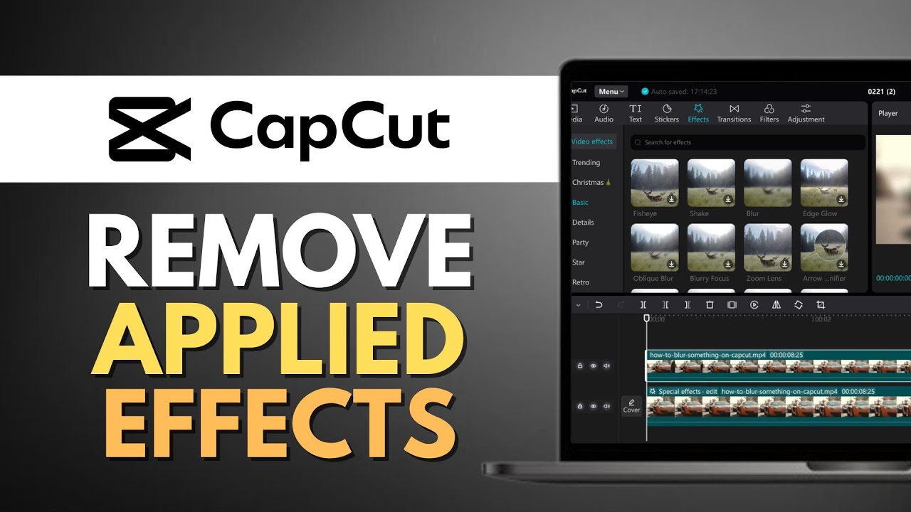 How to Remove Applied Effect on Video in Capcut PC - YouTube