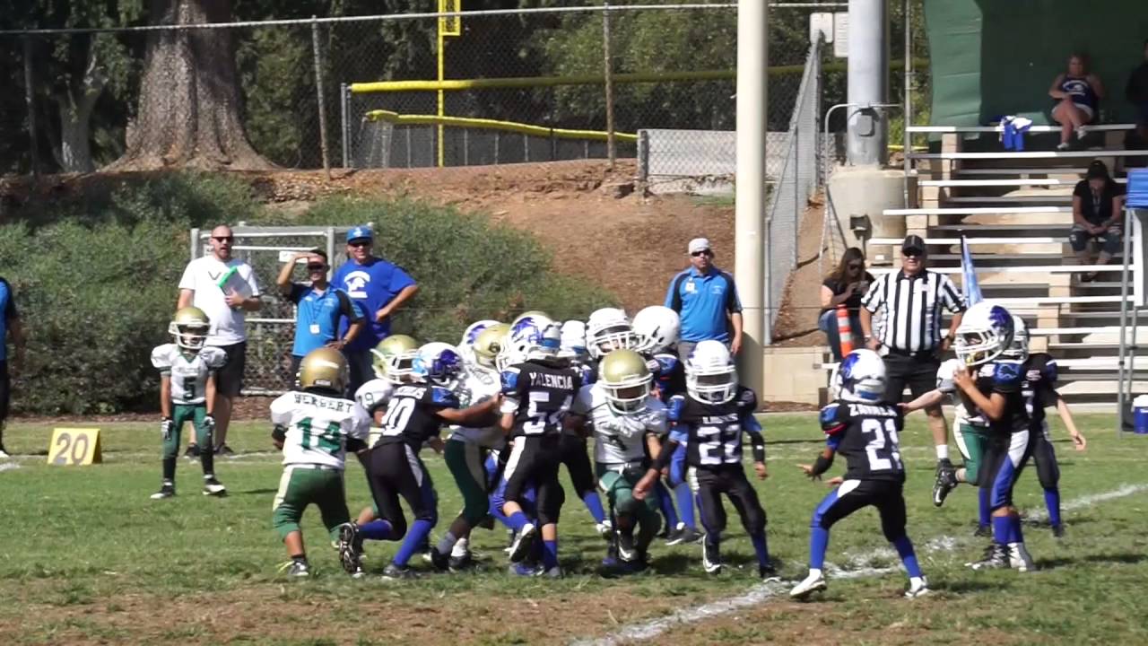 Brea Pop Warner Tiny Mites vs La Habra 2016 - YouTube