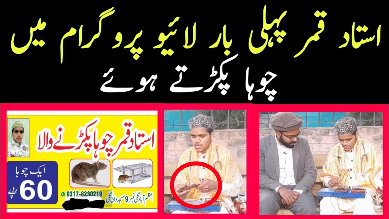 Ustad Qamar Pehli Bar program Main Choohy Pakarty Howy || Ustad Qamar ...