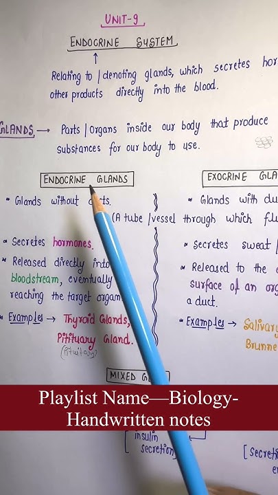 Difference Between Endocrine And Exocrine Glands Unit 9 Biology