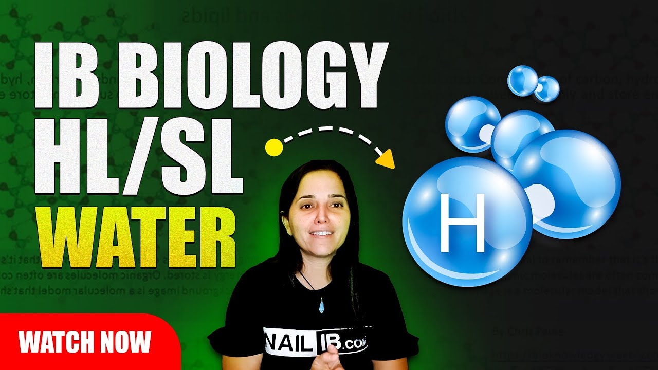 [IB Biology HL/SL] Water (Part 1) - YouTube