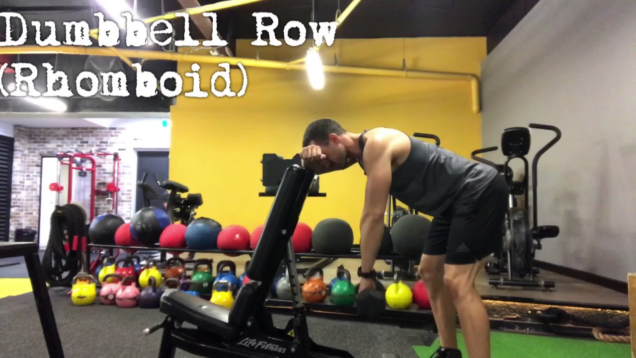 Dumbbell Row (rhomboid) - YouTube