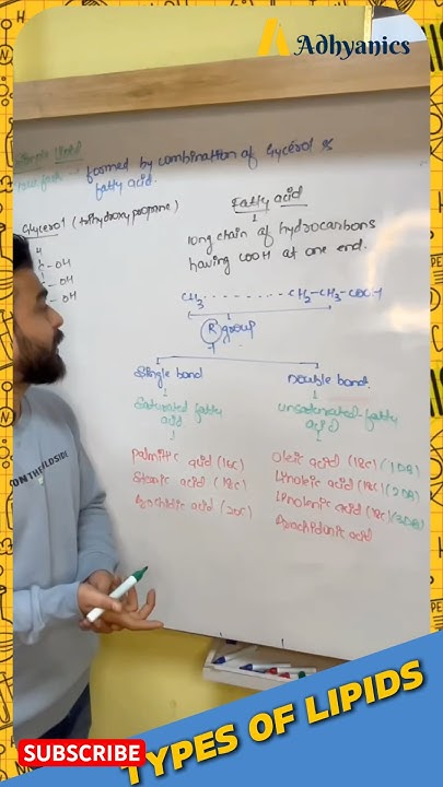 Types of Lipids | Classification, Structure & Functions Explained | Adhyanics - YouTube
