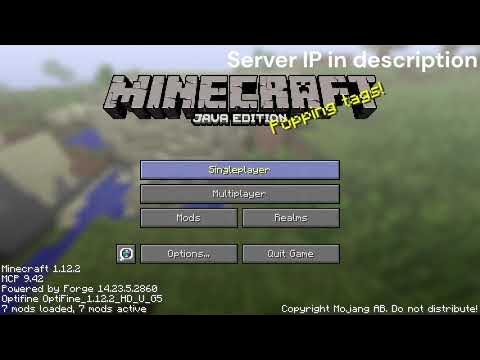 I own a Minecraft Server (Java only) PLAY ON 1.12.2 - YouTube