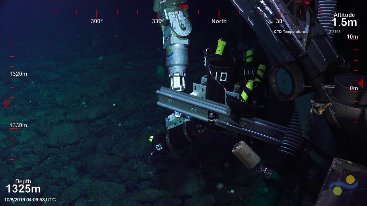 ROV SuBastian Dive 283 - Yomie Seamount - YouTube