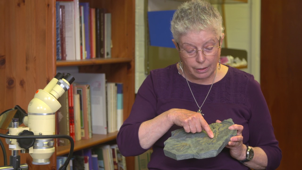 Eureka Moments: Professor Jenny Clack - YouTube