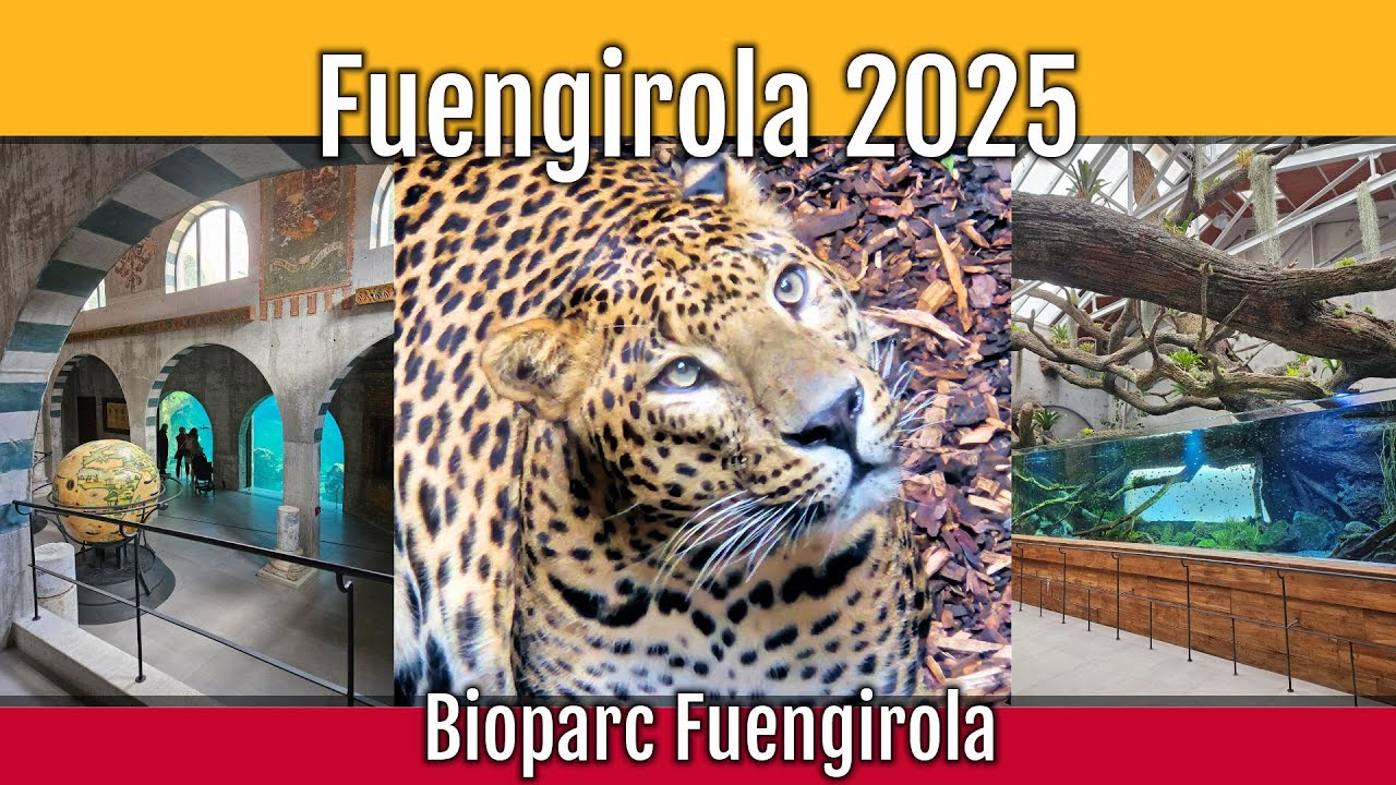 Fuengirola Zoo Bioparc Fuengirola (Zoo) • Mapy.com