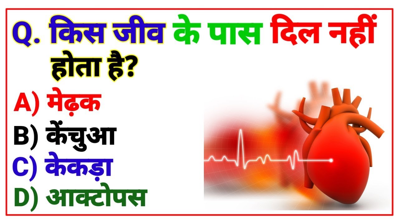 GK KE QUESTIONS II GK TOP QUESTIONS IN HINDI II सामान्य_ज्ञान II GENERAL KNOWLEDGE II GK QUIZ II ...