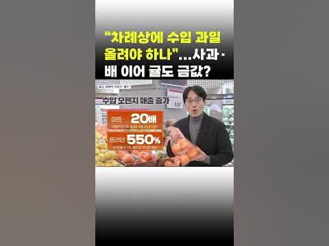 [이슈 직진] "차례상에 수입 과일 올려야 하나"...사과·배 이어 귤도 금값? #shorts #뉴스7 | MBN 240201 방송 - YouTube