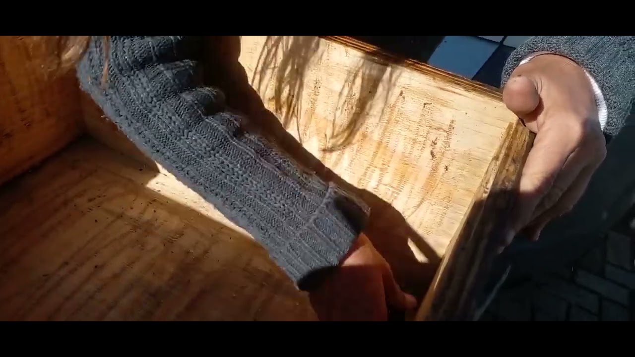 New beehive preparation for trap out cone - YouTube