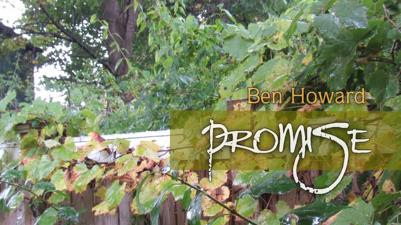 Promise - Ben Howard - YouTube