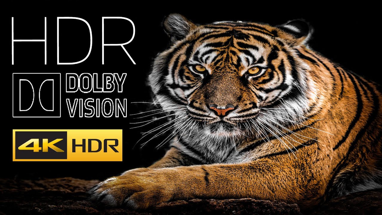 4K HDR 60fps Dolby Vision Demo in TIGER 4k HDR Video africa amazon 4k ...
