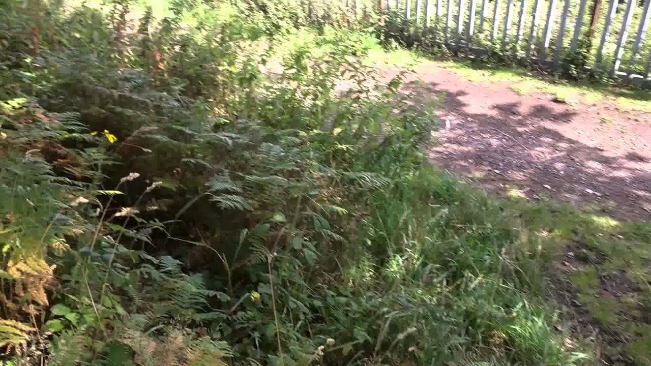 Pex Hill Widnes - YouTube