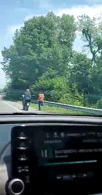 almost ran over it, could of been worse - YouTube