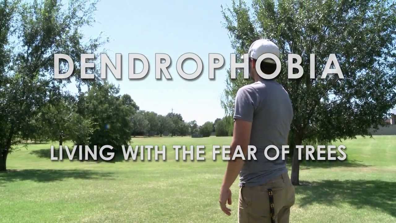 Dendrophobia: Living with the Fear of Trees (jumpscare warning) - YouTube