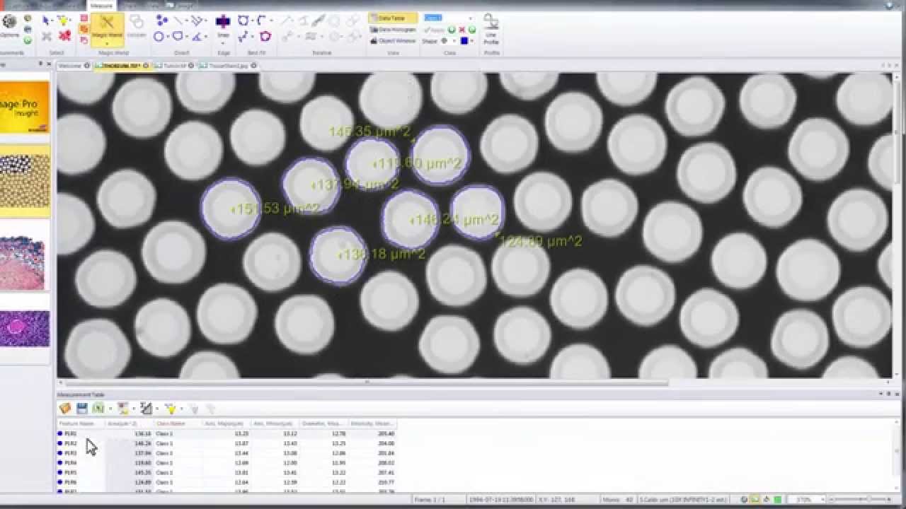 08 Measure objects using the Magic Wand - Image-Pro Insight 9 - YouTube