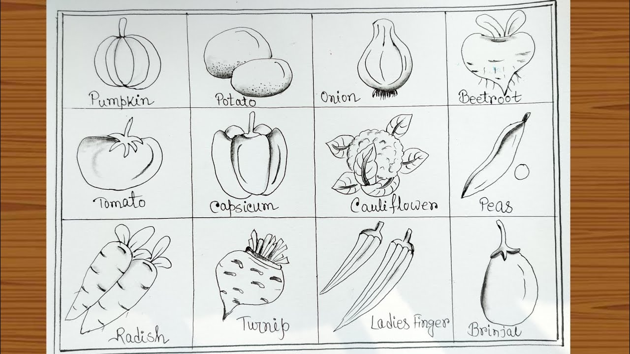 Different types of vegetables drawing easy/How to draw 12 different ...