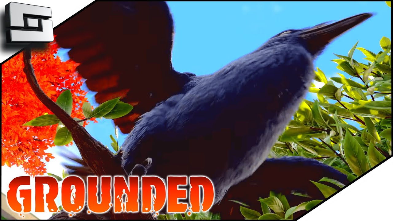 The Bird Is The Word In The New Grounded Game Update! E9 - YouTube