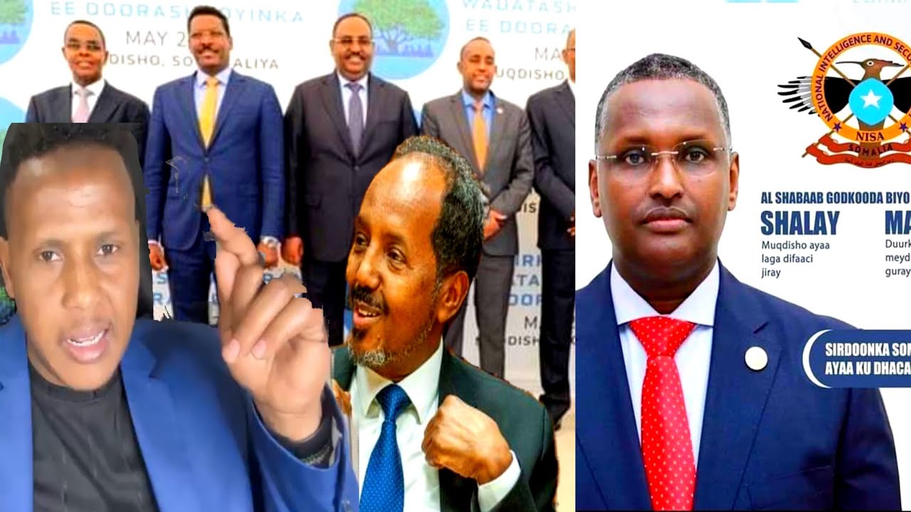 SOMALIDNIMO MEDIA " Dhulbahante way iga gar heleen ,waxaan idhi ...