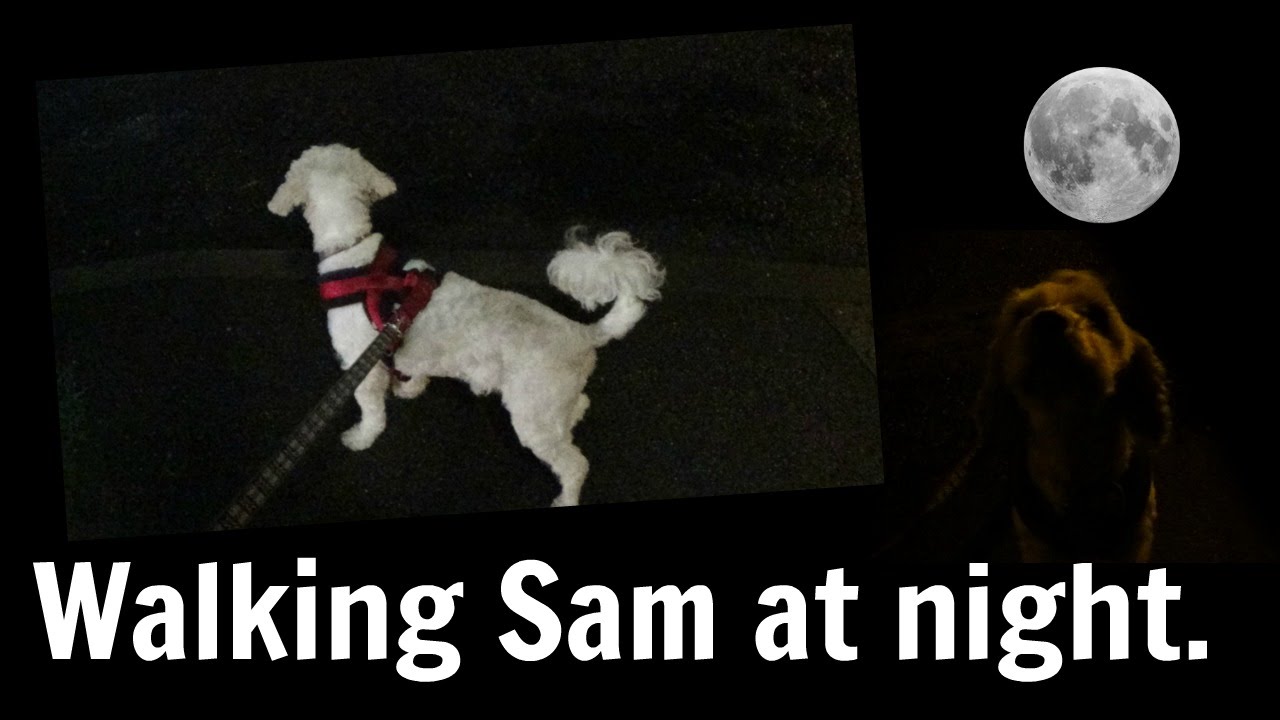 Walking Sam at night - YouTube