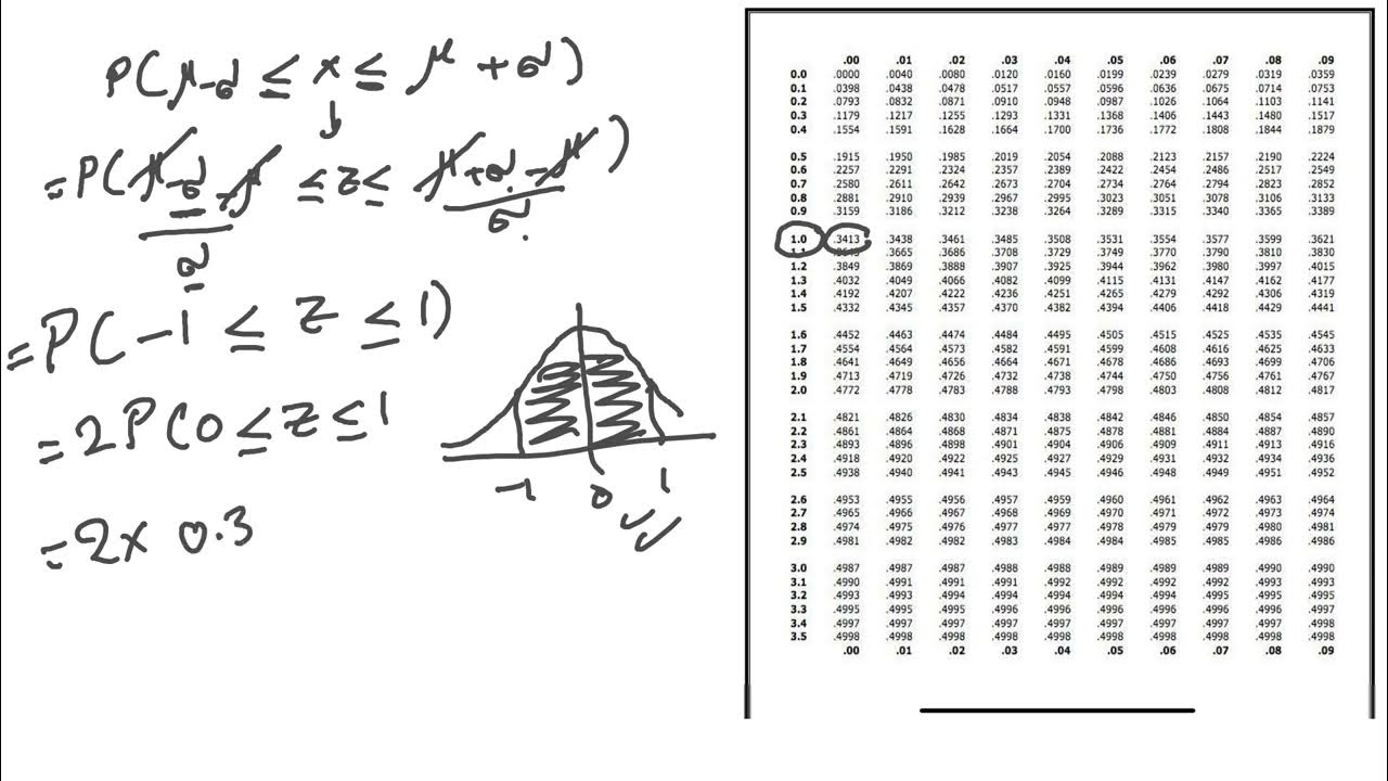 Normal distribution part 1 distribution final revision - YouTube