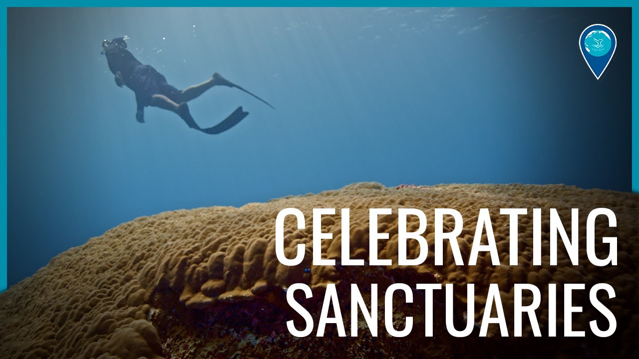 Almost 50 years of the National Marine Sanctuary System - YouTube