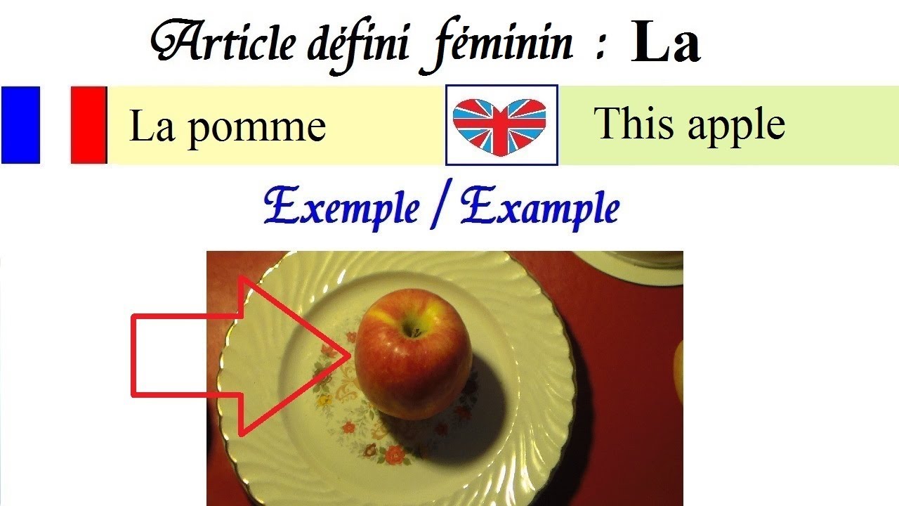 Grammaire française 3 : les articles définis - French grammar - YouTube